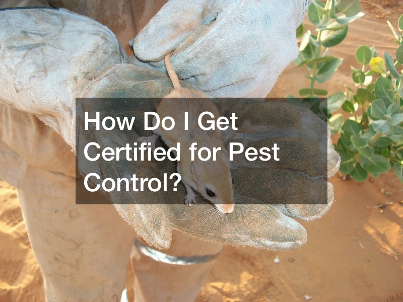 How Do I Get Certified For Pest Control 